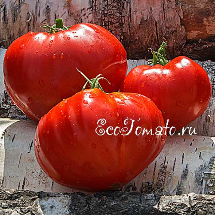 Red Butter Heart